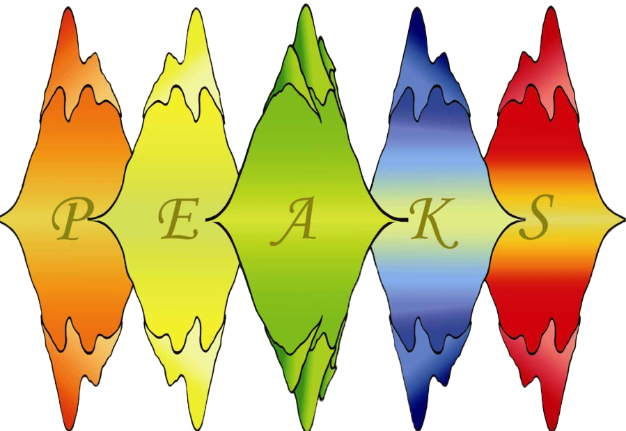 PEAKS Personality Test | Morphos Family